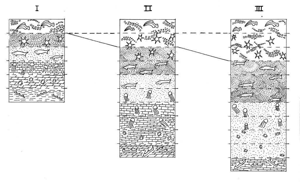 Correlation and Earth’s History – Penny Higgins – Storyteller • Artist ...