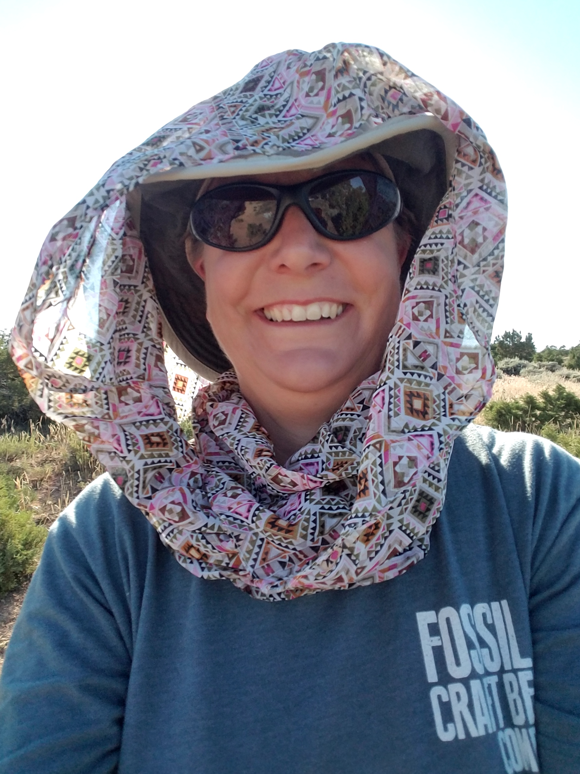 The silver screen? – #NTCave2017 – Penny Higgins – Storyteller • Artist ...