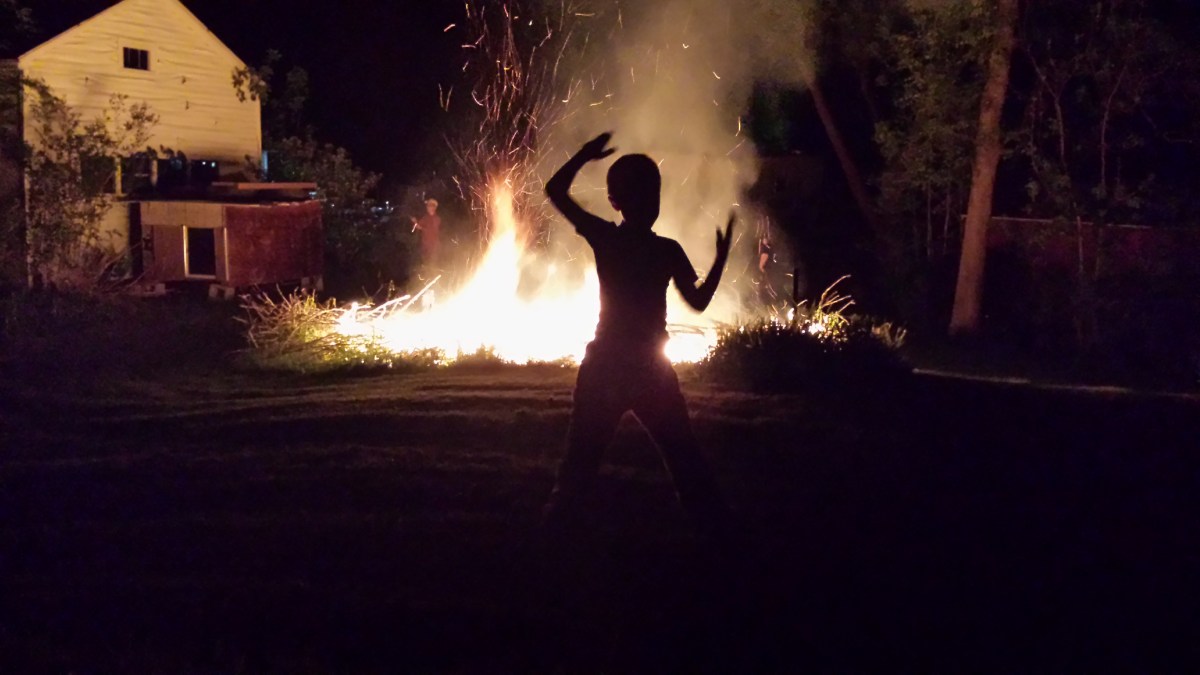 The Bonfire – Penny Higgins – Storyteller • Artist • Scientist