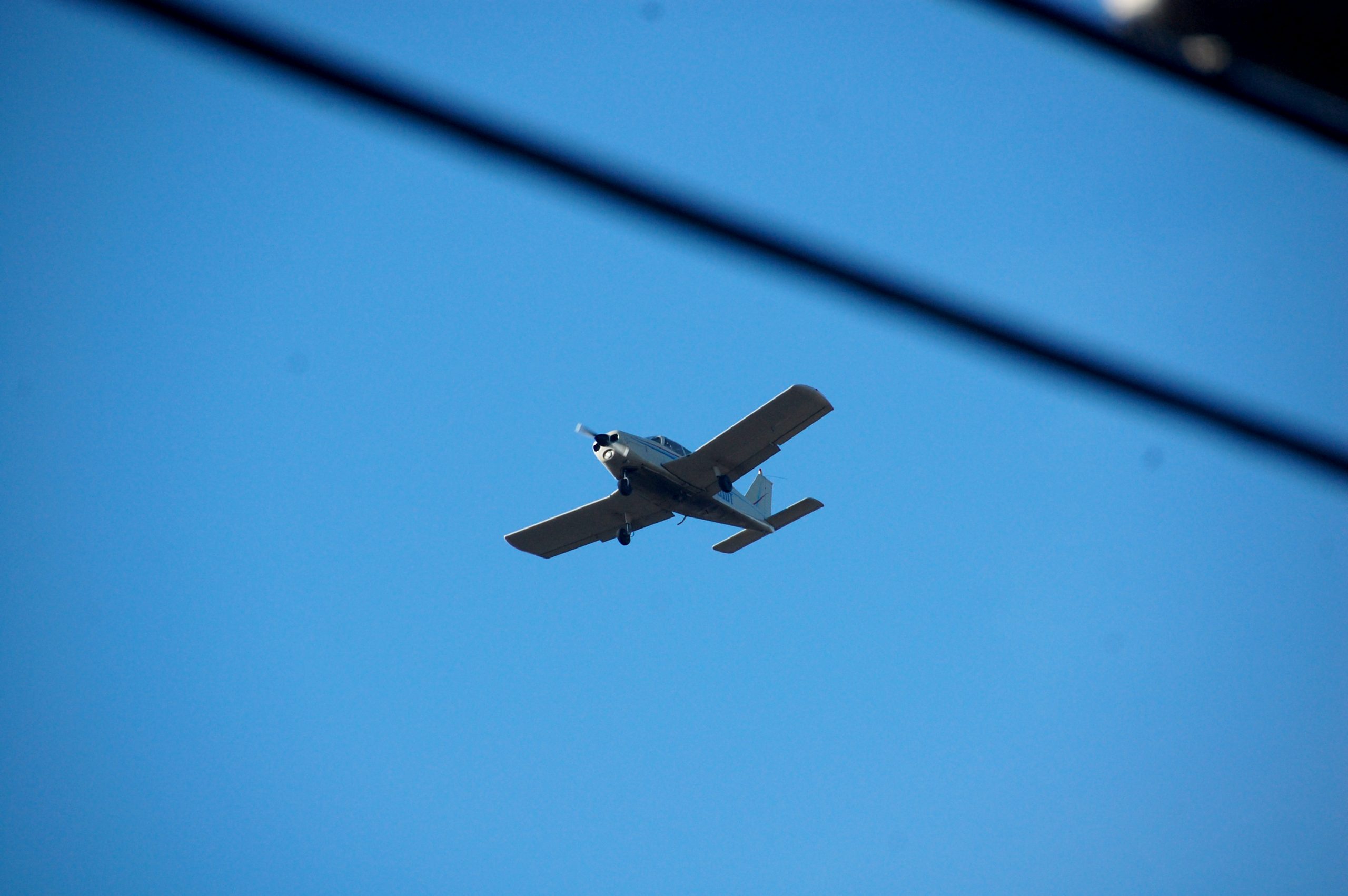 Photojournal – Pictures My Son Takes – March 6, 2020 – Penny Higgins ...