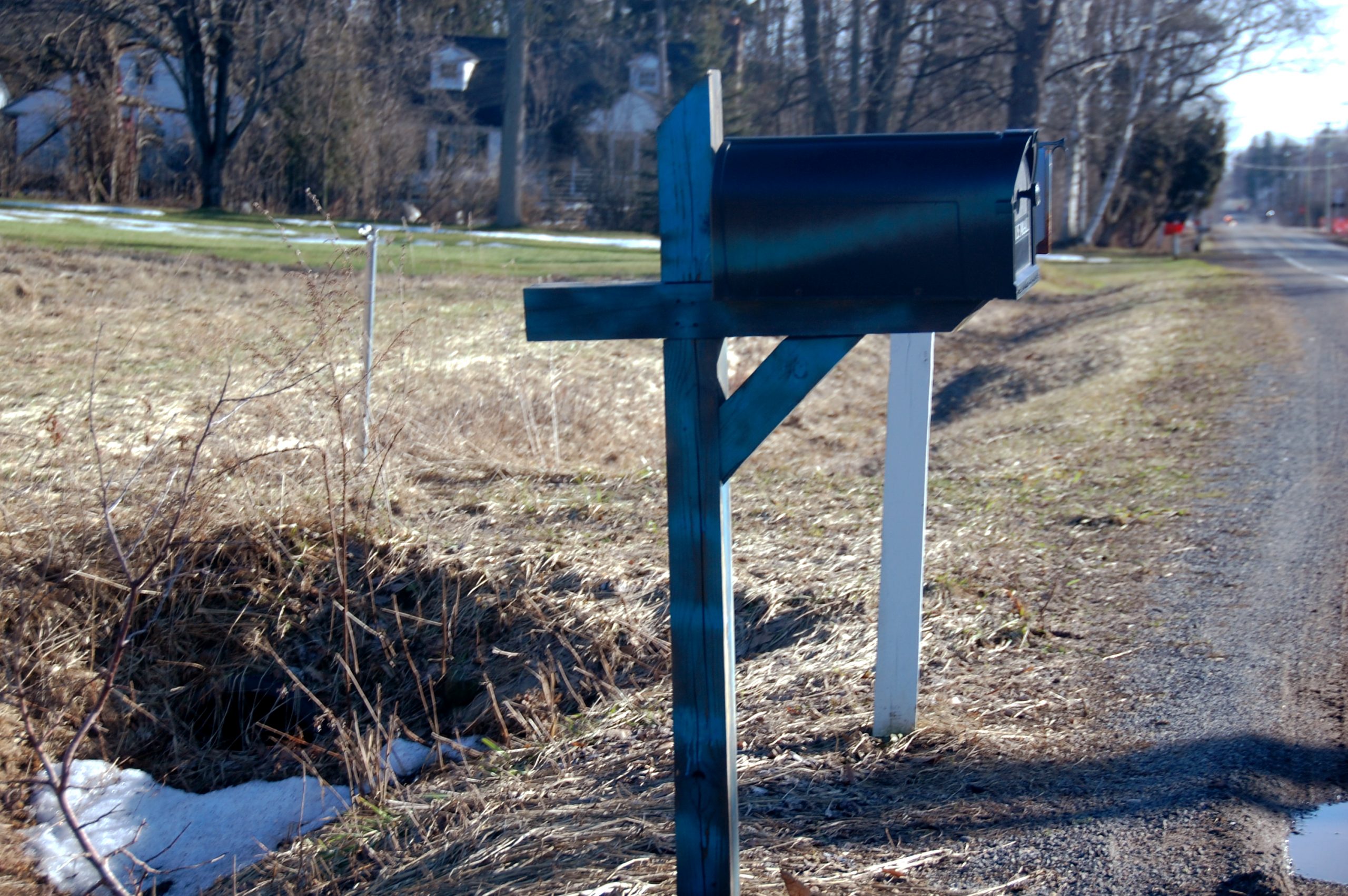 Photojournal – Pictures My Son Takes – March 6, 2020 – Penny Higgins ...