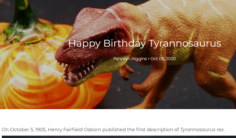 Penny Higgins – Social Media Portfolio – Penny Higgins – Storyteller ...