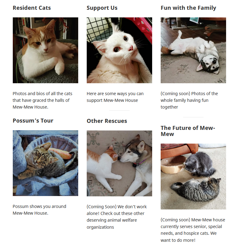 Penny Higgins – Social Media Portfolio – Penny Higgins – Storyteller ...