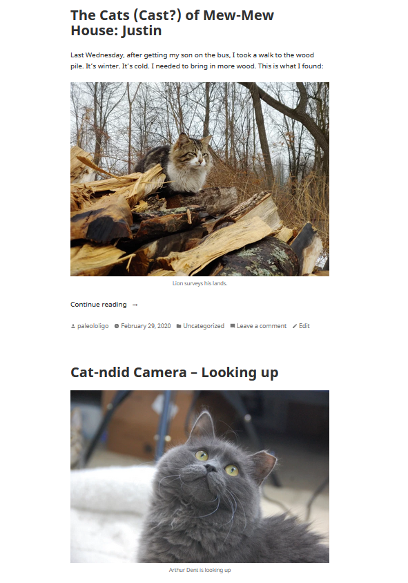 Penny Higgins – Social Media Portfolio – Penny Higgins – Storyteller ...