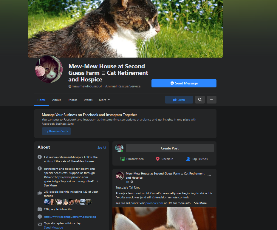 Penny Higgins – Social Media Portfolio – Penny Higgins – Storyteller ...