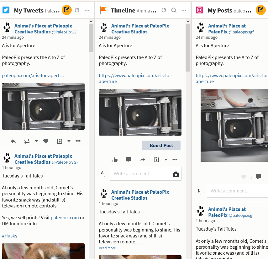 Penny Higgins – Social Media Portfolio – Penny Higgins – Storyteller ...